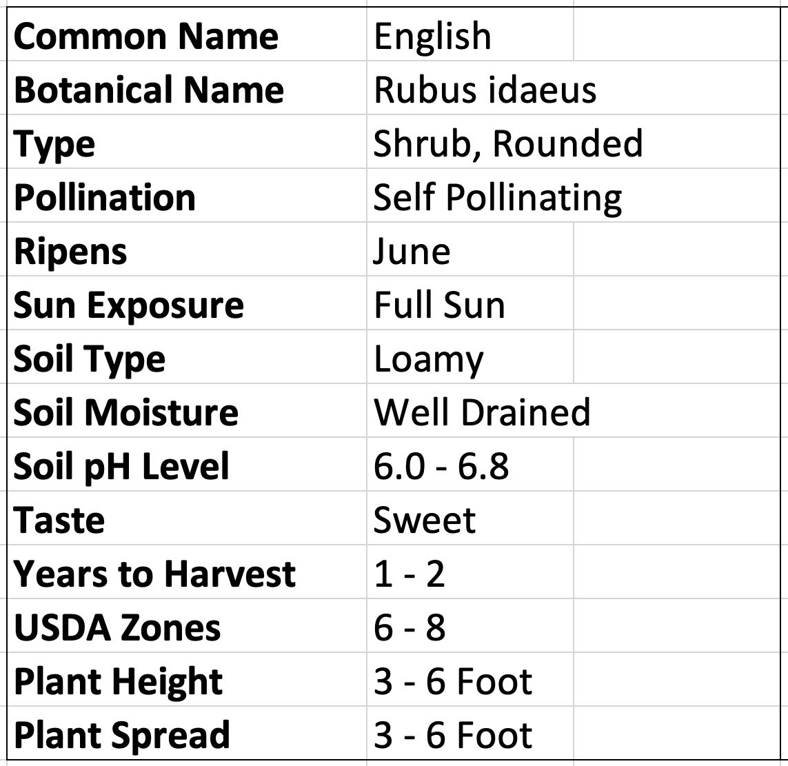 English Thornless Raspberry $15 - Great Escape Farms