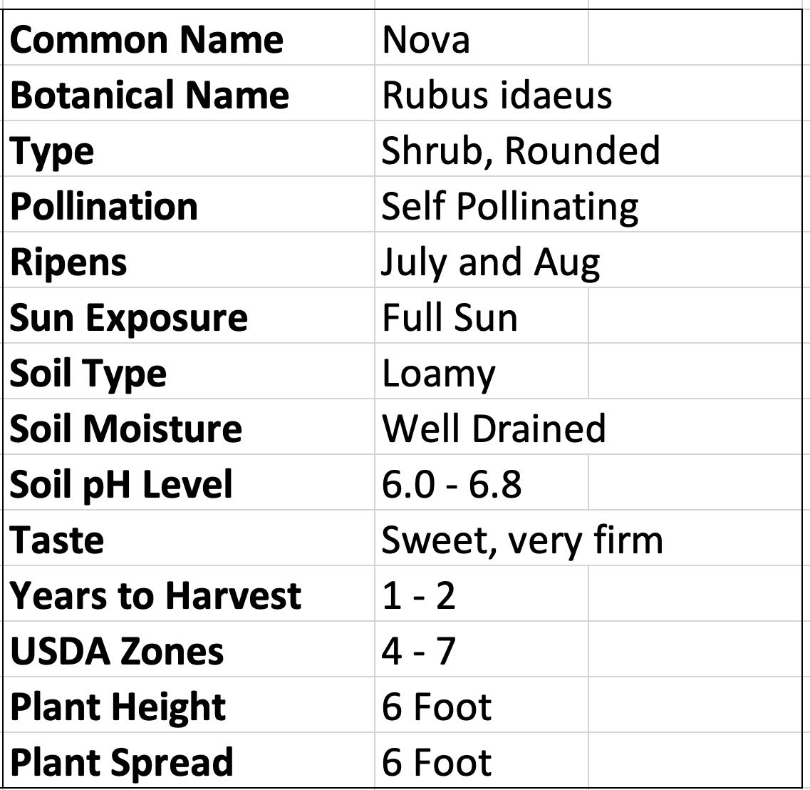 Nova Raspberry $15 - Great Escape Farms
